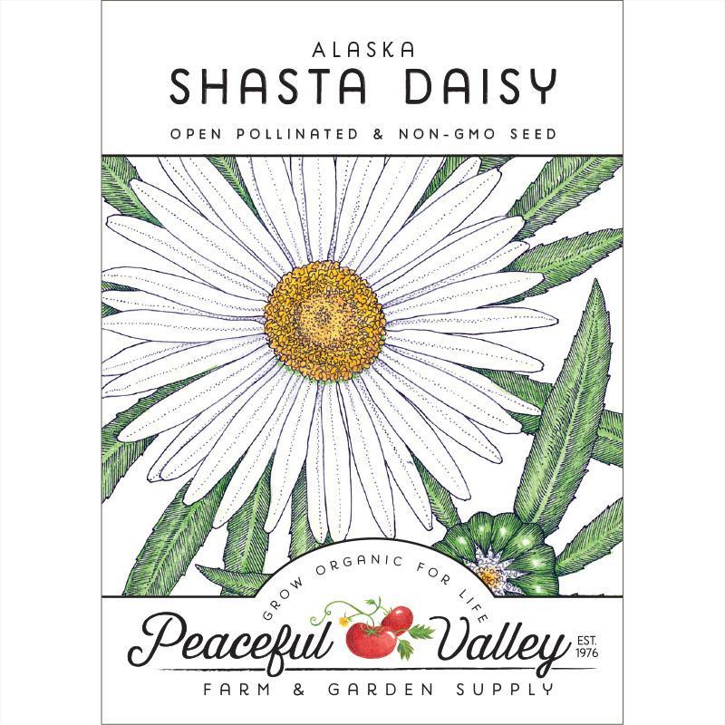 Daisy, Shasta (pack) – LUMBRI WORMS & GARDEN, LLC