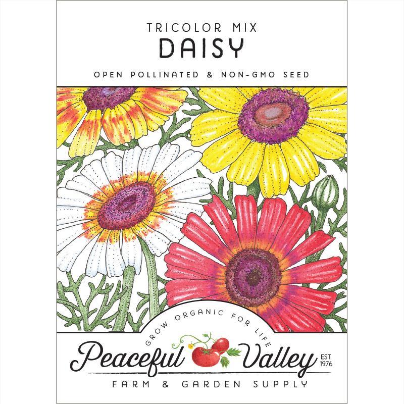 Daisy, Tricolor Mix (pack) - LUMBRI WORMS & GARDEN, LLC