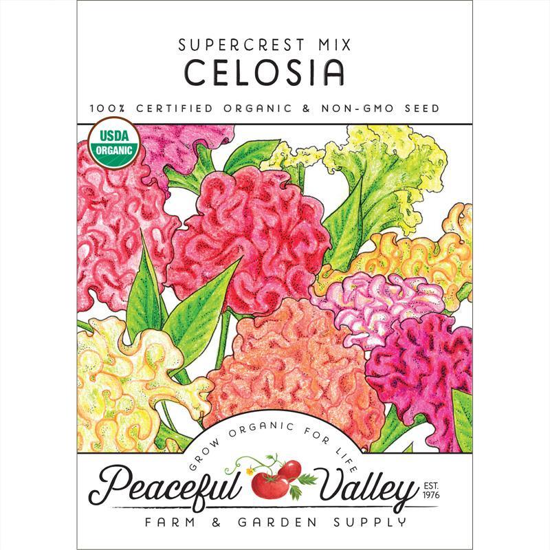 Supercrest Celosia Mix (Organic) – LUMBRI WORMS & GARDEN, LLC
