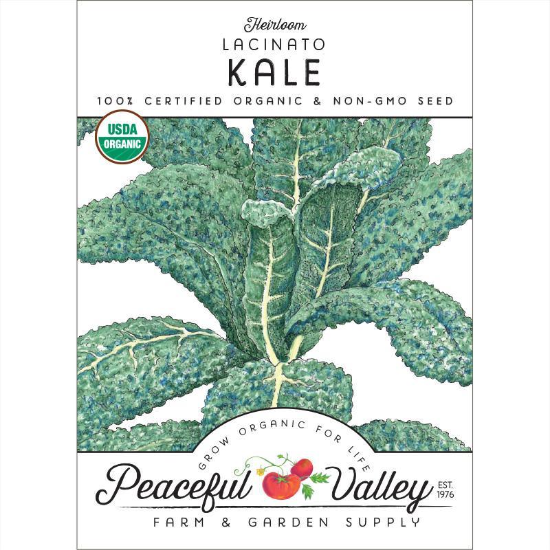 Lacinato Kale Seeds (Organic) – LUMBRI WORMS & GARDEN, LLC