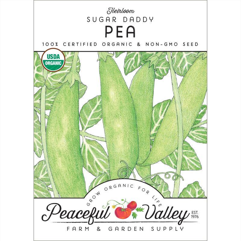 Sugar Daddy Pea Seeds (Organic) - LUMBRI WORMS & GARDEN, LLC